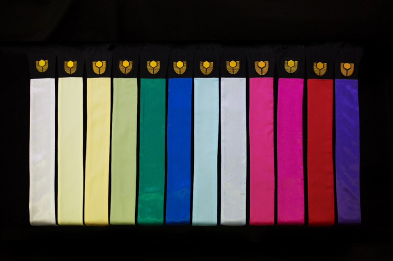 History of Curtin regalia | Archives