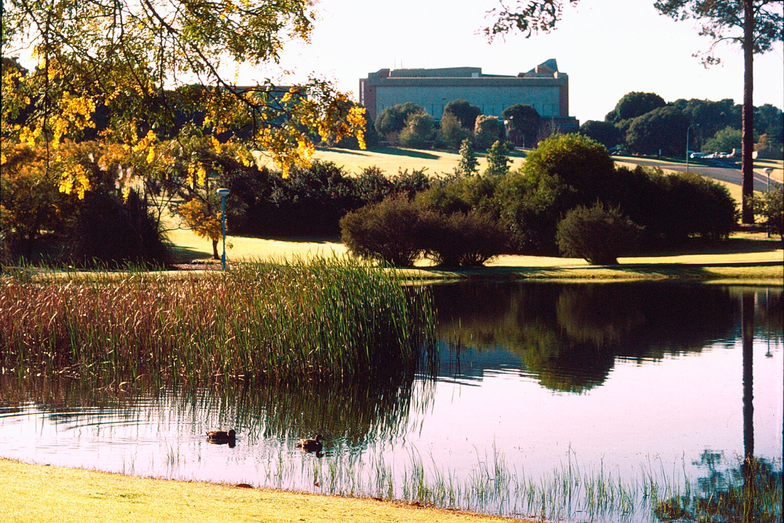 1990s-2000s image gallery on Perth campus | Archives